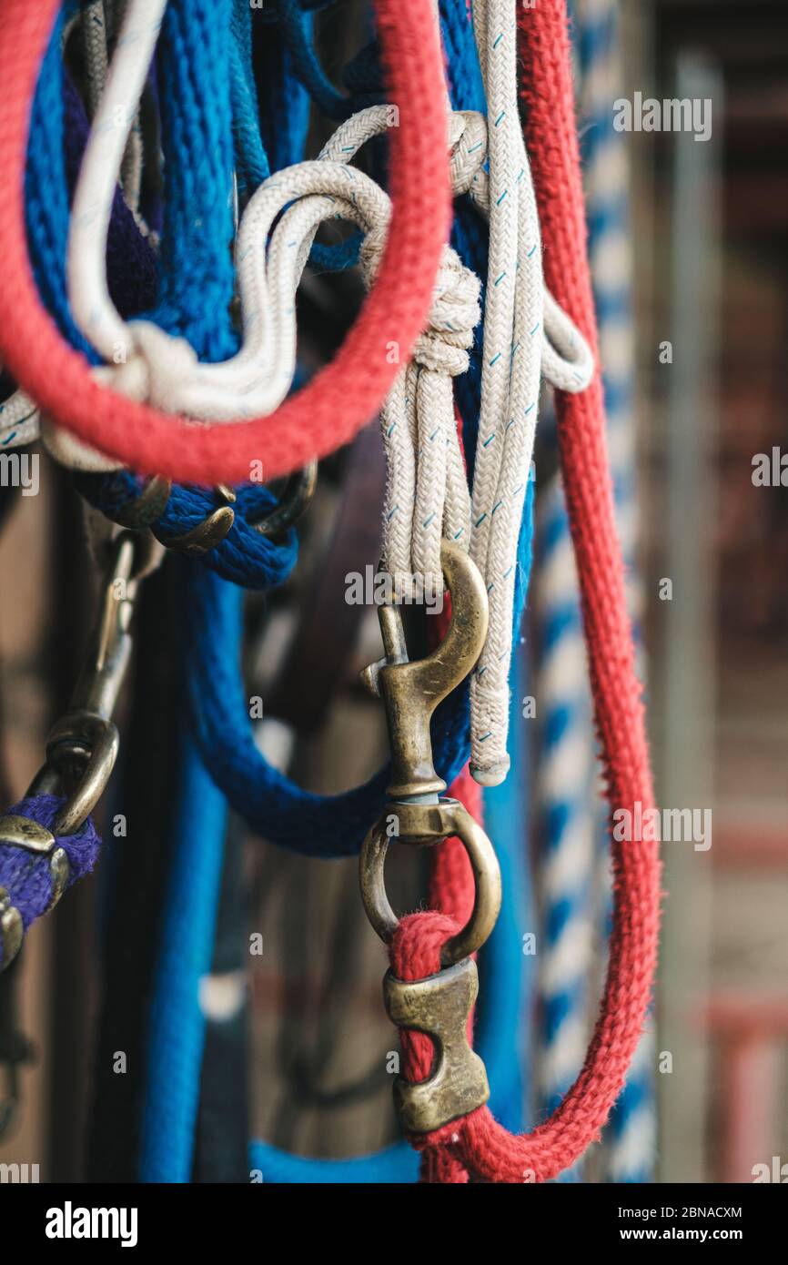 Closeup vertical shot of ropes with metal lock Stock Photo - Alamy