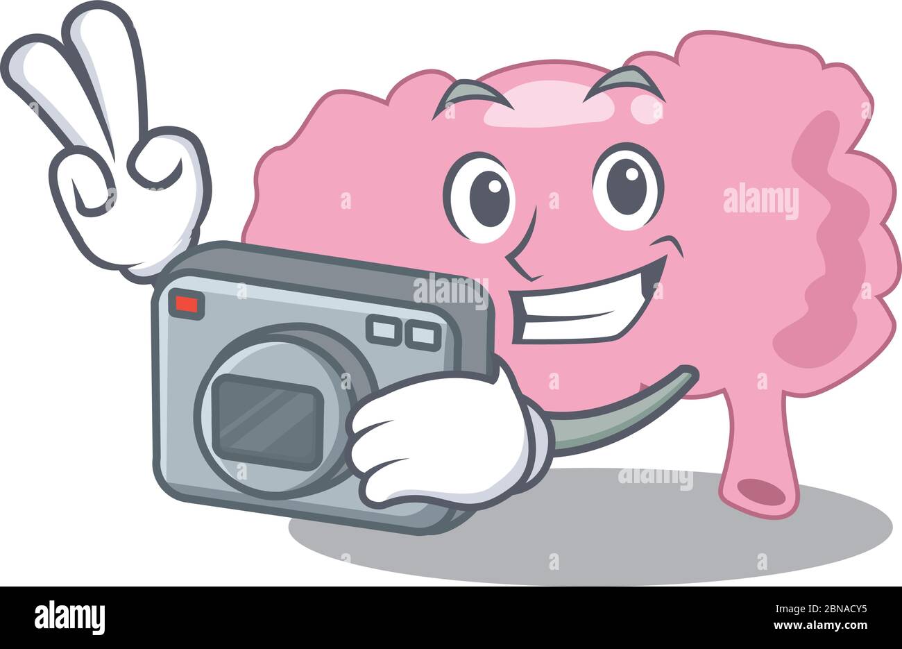 a professional photographer brain cartoon picture working with camera ...