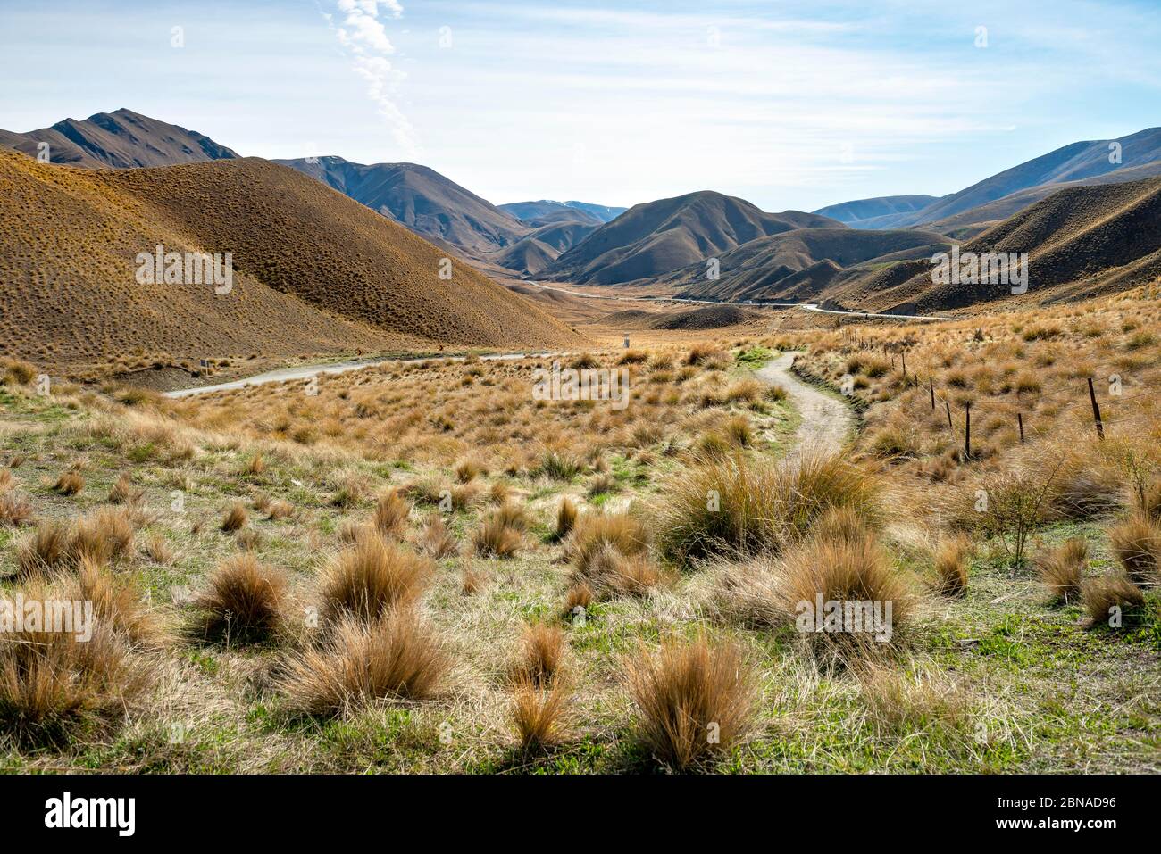 Barren mountain landscape with tufts of grass, Lindis Pass, Southern ...