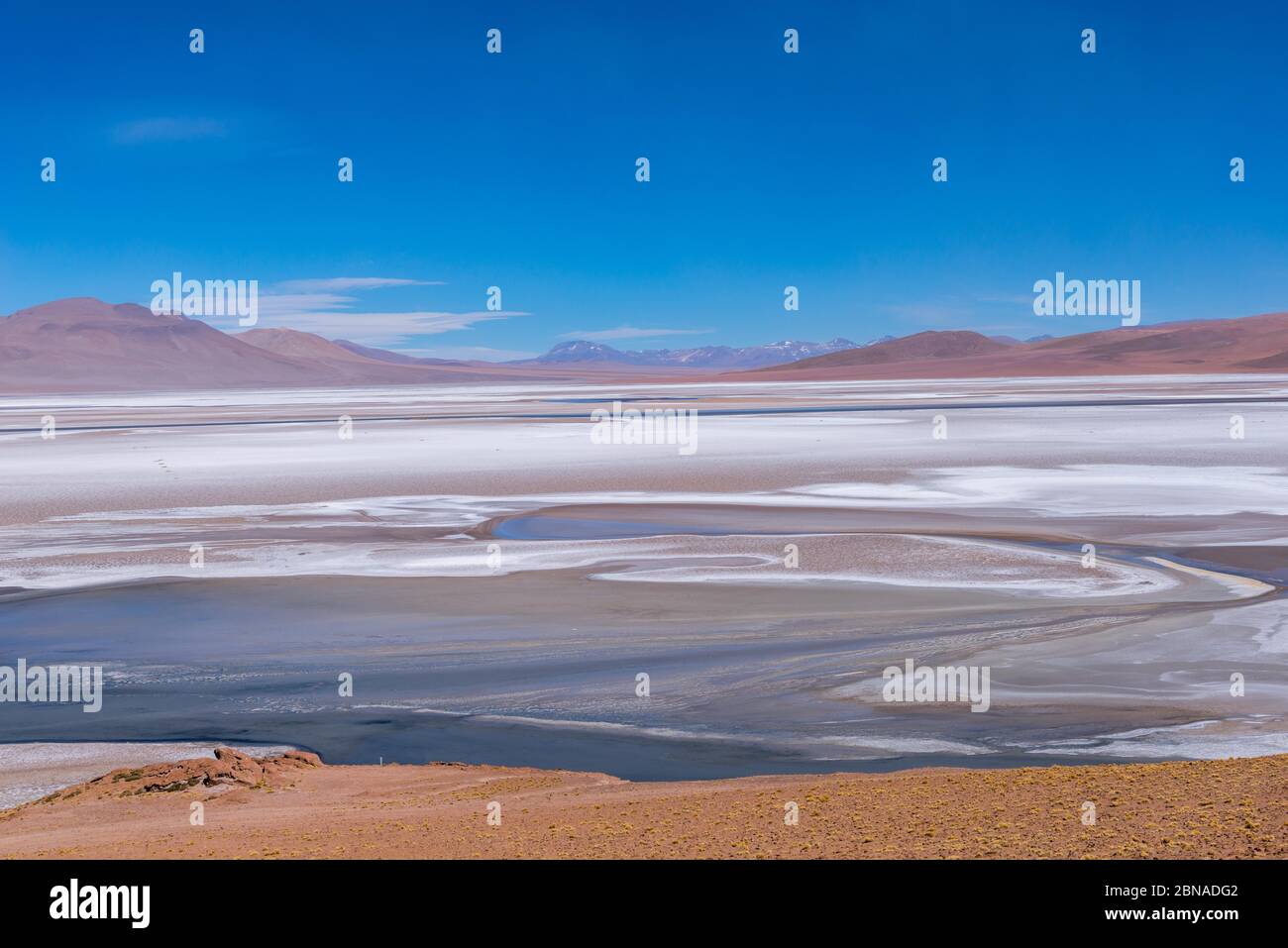 Salt Lake, Puna Region, Andes, Chile, South America Stock Photo - Alamy