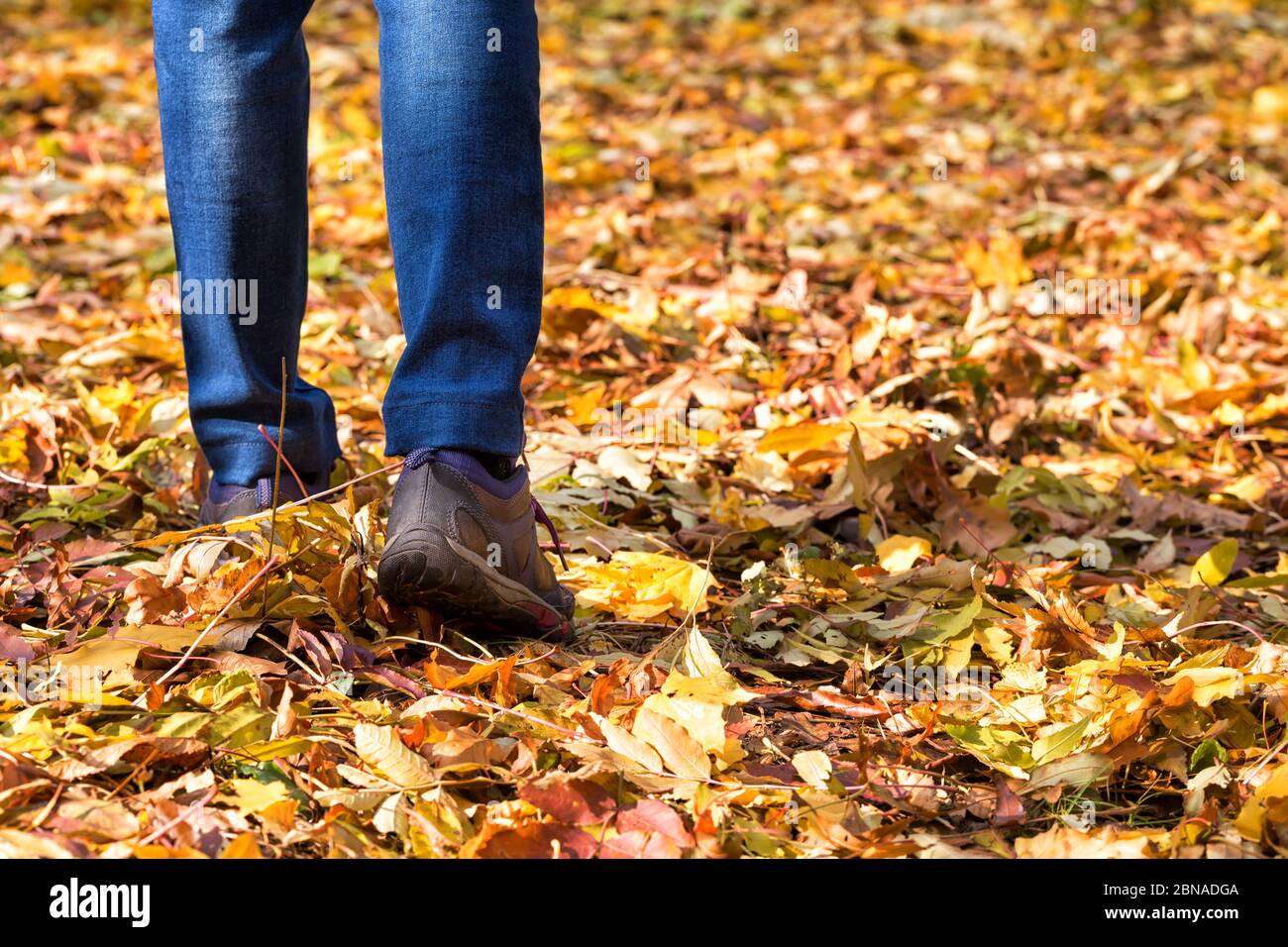 Legs of girl walking along the autumn foliage during the day Stock ...