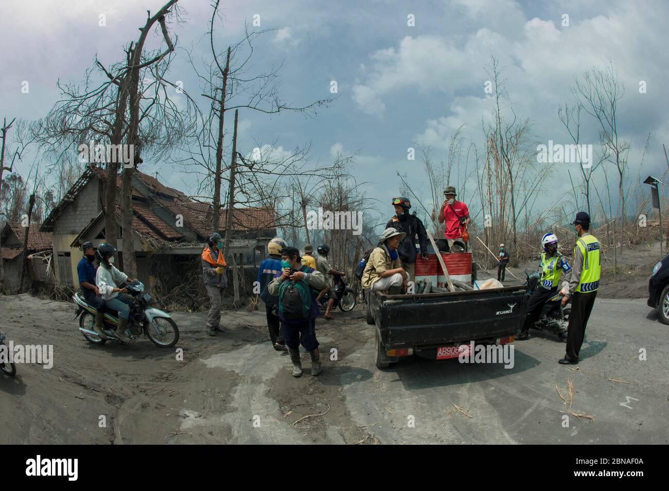 Police and volunteer workers in truck on road with ash, dead trees and ...