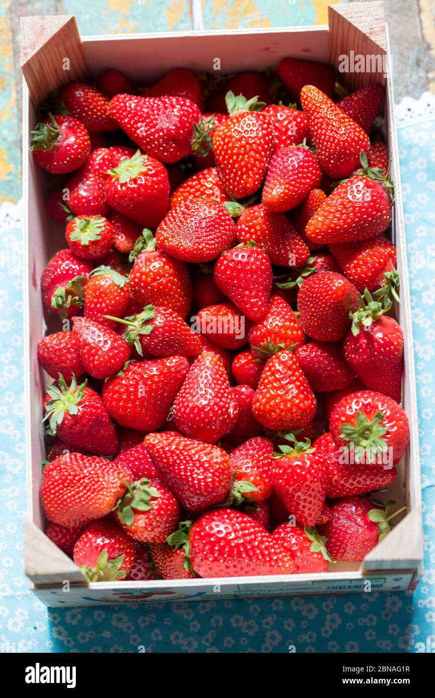Box tray of fresh strawberries Stock Photo - Alamy