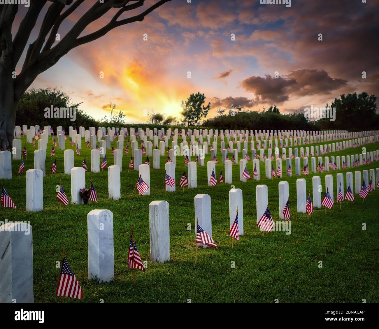 Sunset and American flags on Memorial Day at a national cemetery in ...