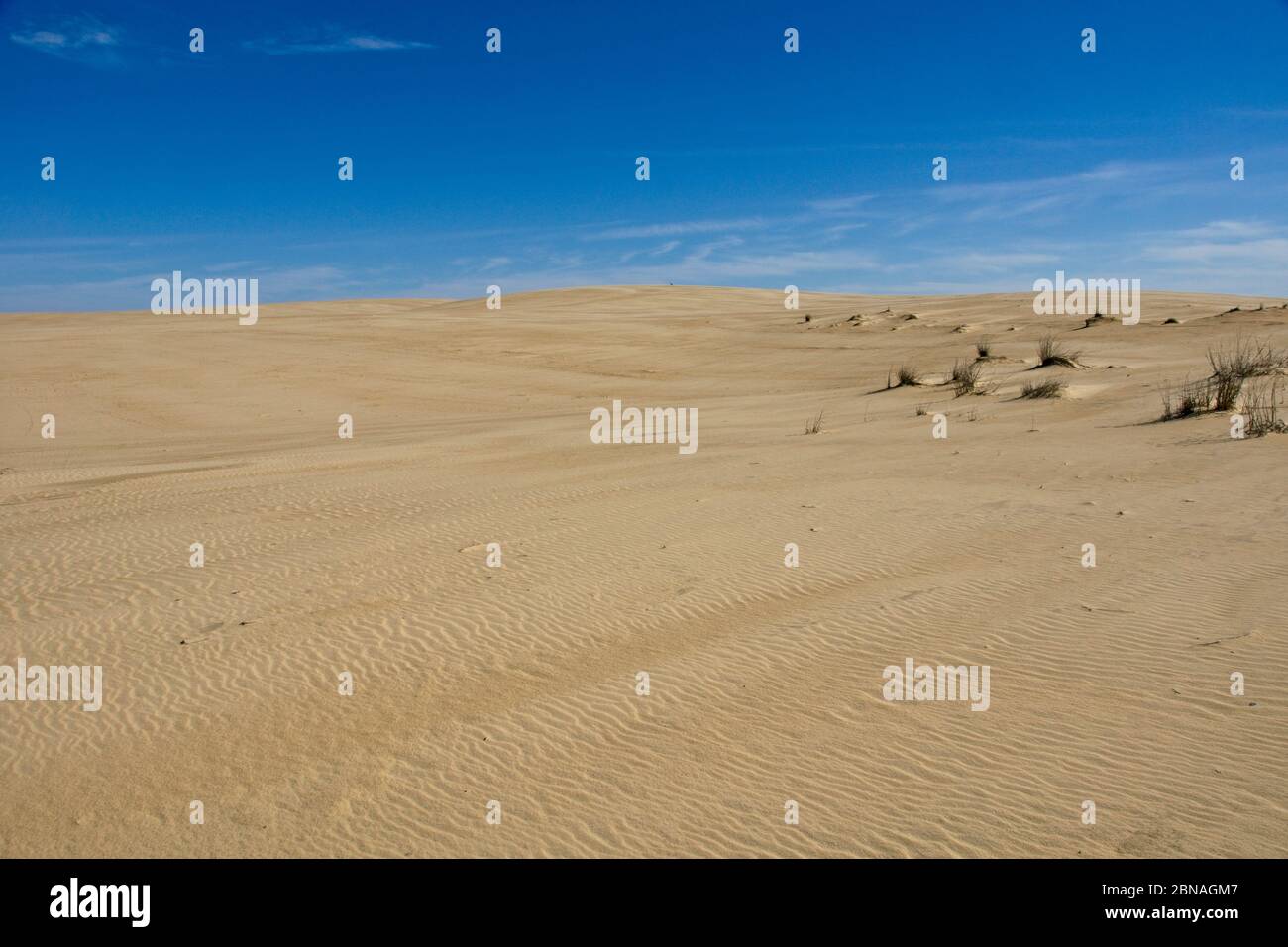 Jockey's Ridge State Park on Outer Banks in North Carolina USA Stock ...
