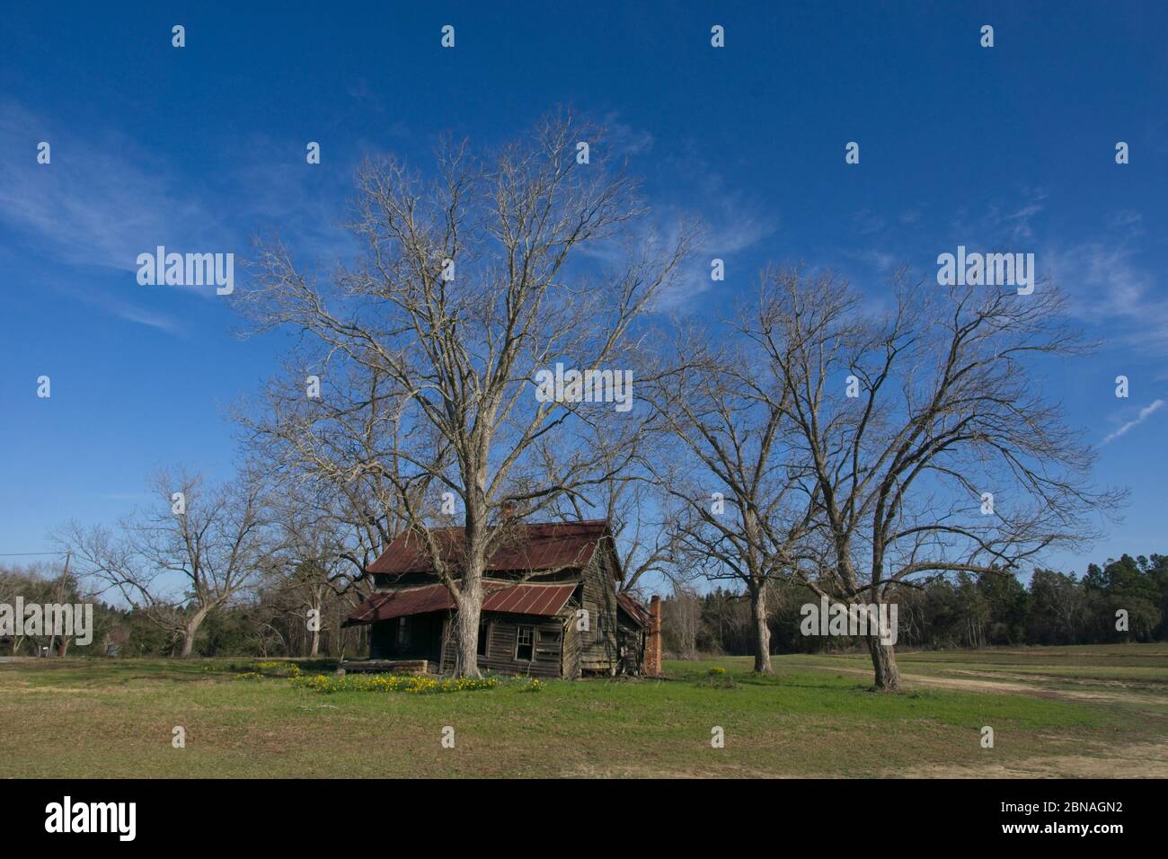 Old abandoned farm in rural Georgia USA Stock Photo - Alamy
