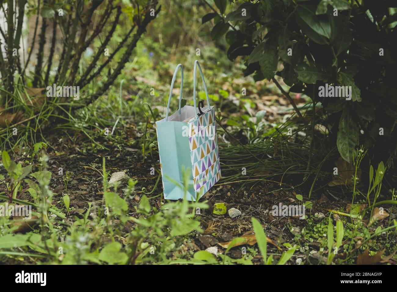 Colorful package on the ground in the forest Stock Photo - Alamy