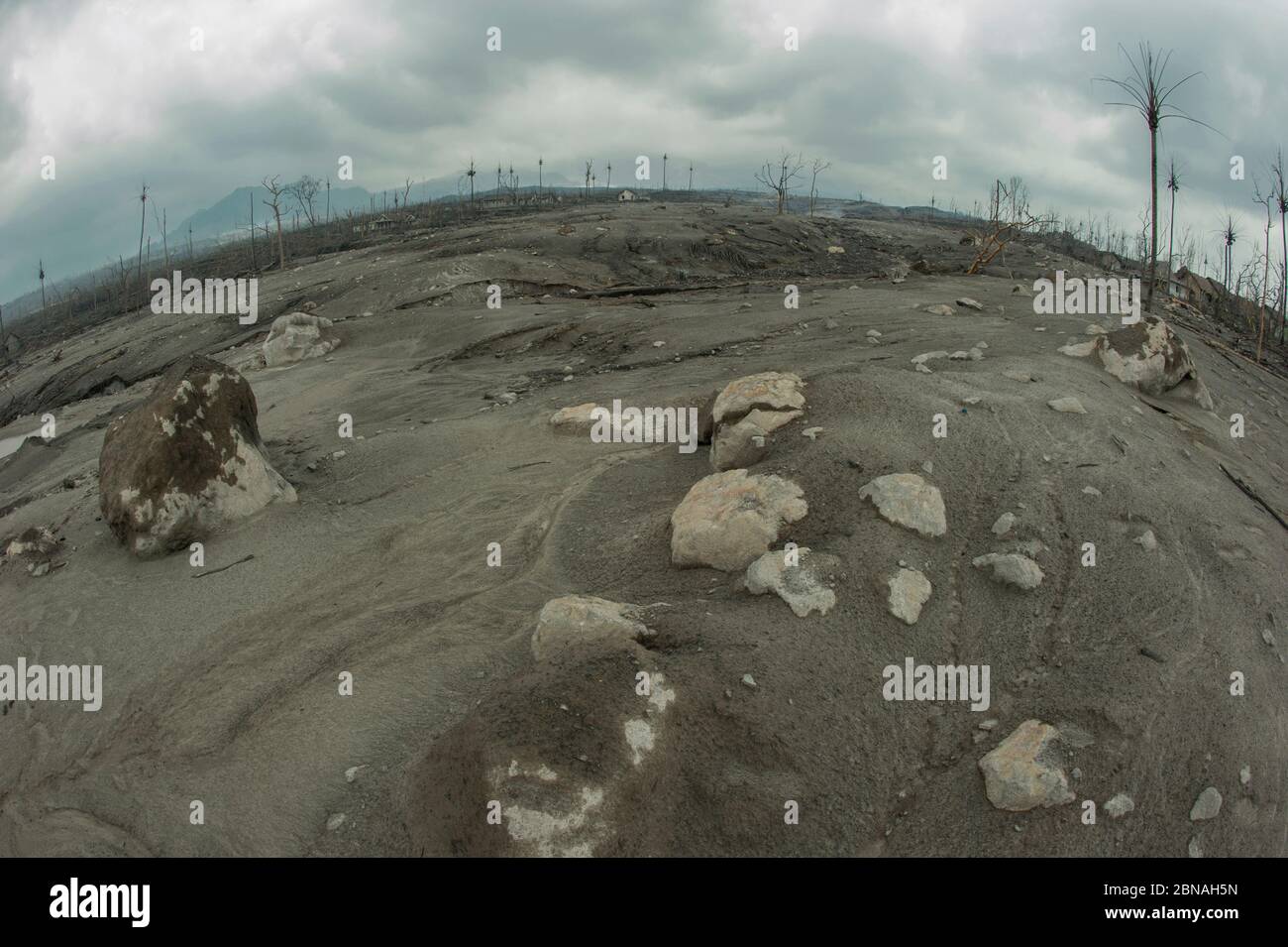 Fields covered in ash, damaged houses and dead trees from Mount Merapi ...