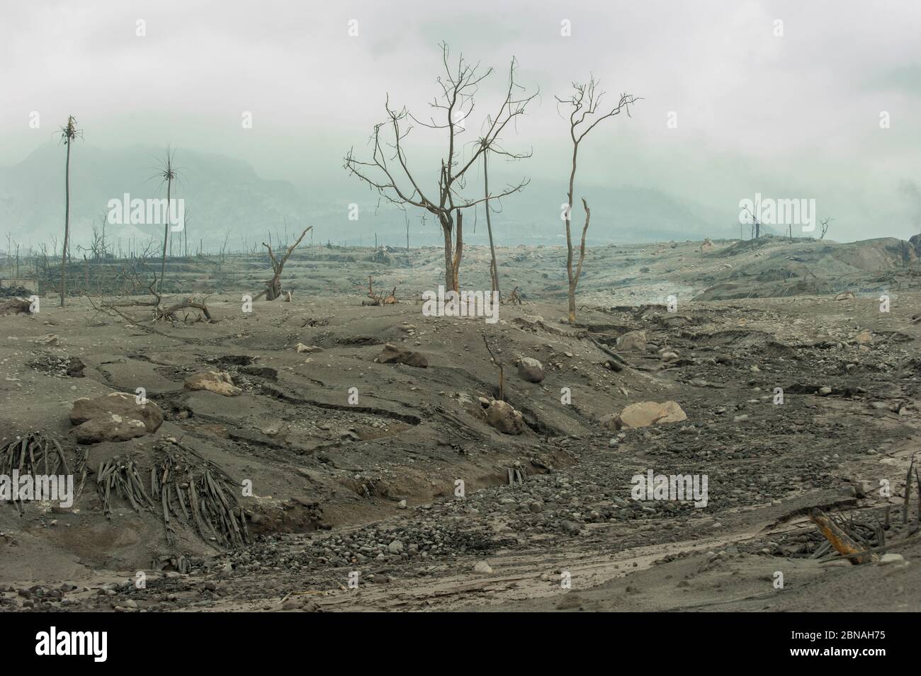 Mount merapi volcano damage hi-res stock photography and images - Alamy