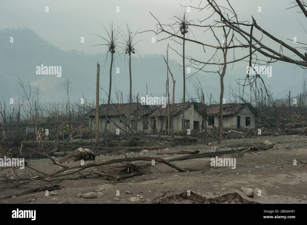 Damaged houses and dead trees from Mount Merapi volcano eruption inside ...