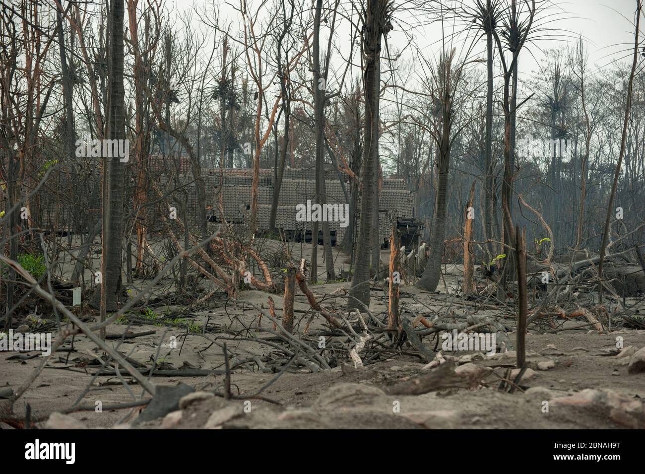 Damaged houses and dead trees from Mount Merapi volcano eruption inside ...