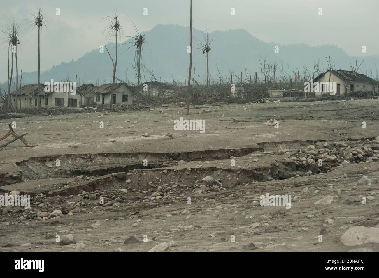 Dead trees and damaged house from Mount Merapi volcano eruption inside ...