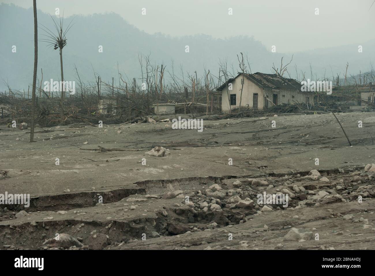 Dead trees and damaged house from Mount Merapi volcano eruption inside ...