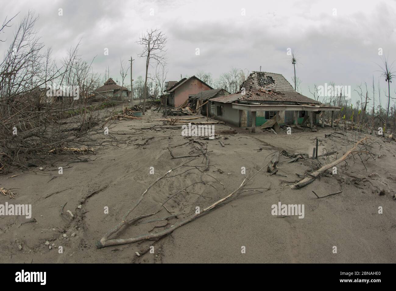Dead trees and damaged house from Mount Merapi volcano eruption inside ...