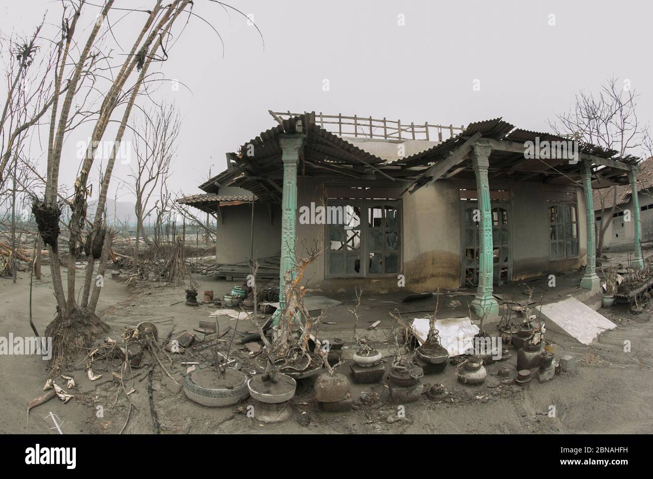 Dead trees and damaged house from Mount Merapi volcano eruption inside ...