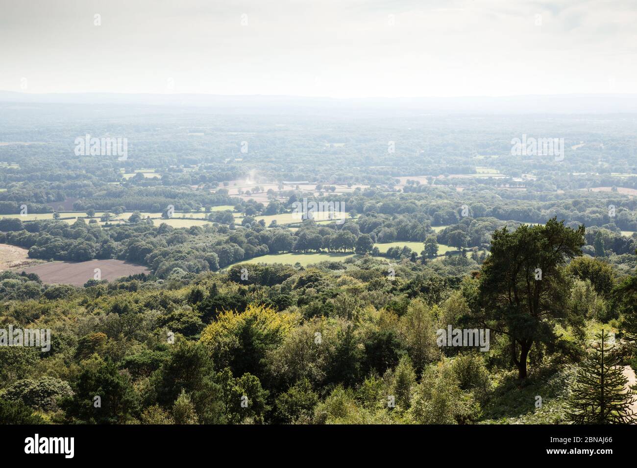 Beautiful surrey countryside hi-res stock photography and images - Alamy