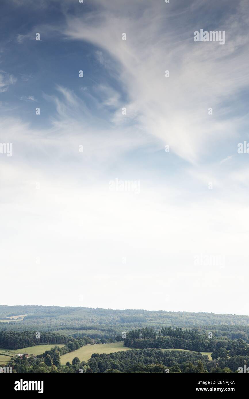 Elevated view valley tree grass hi-res stock photography and images - Alamy