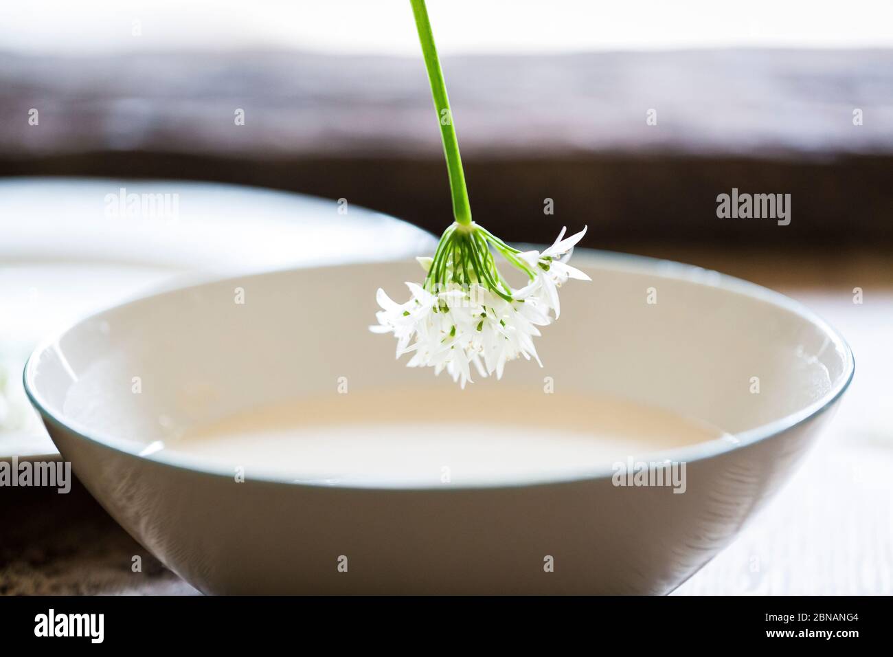 Ramsons recipe hi-res stock photography and images - Alamy