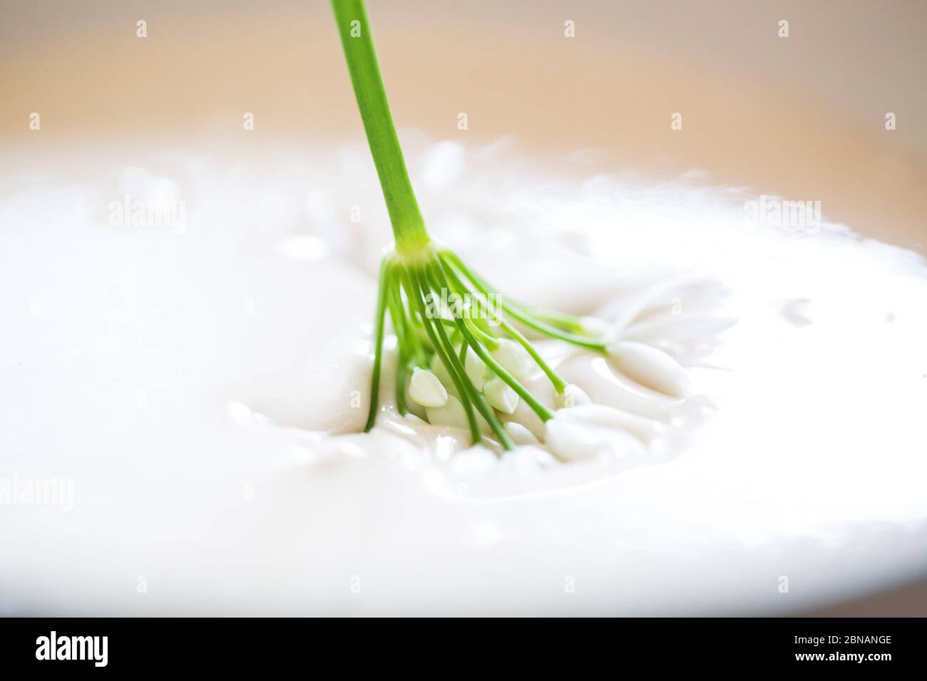 English recipe hi-res stock photography and images - Alamy