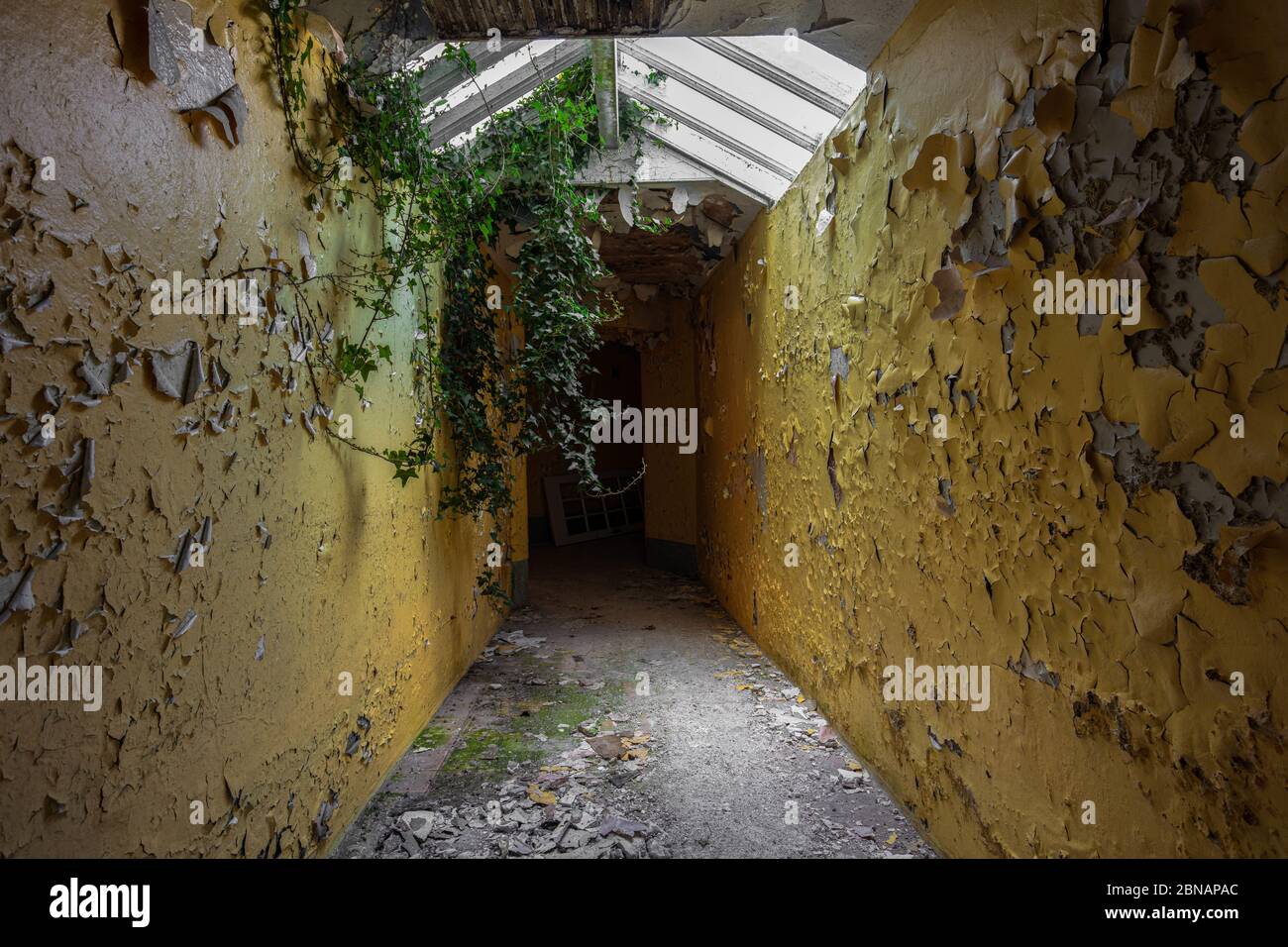 Victorian asylum building hi-res stock photography and images - Alamy