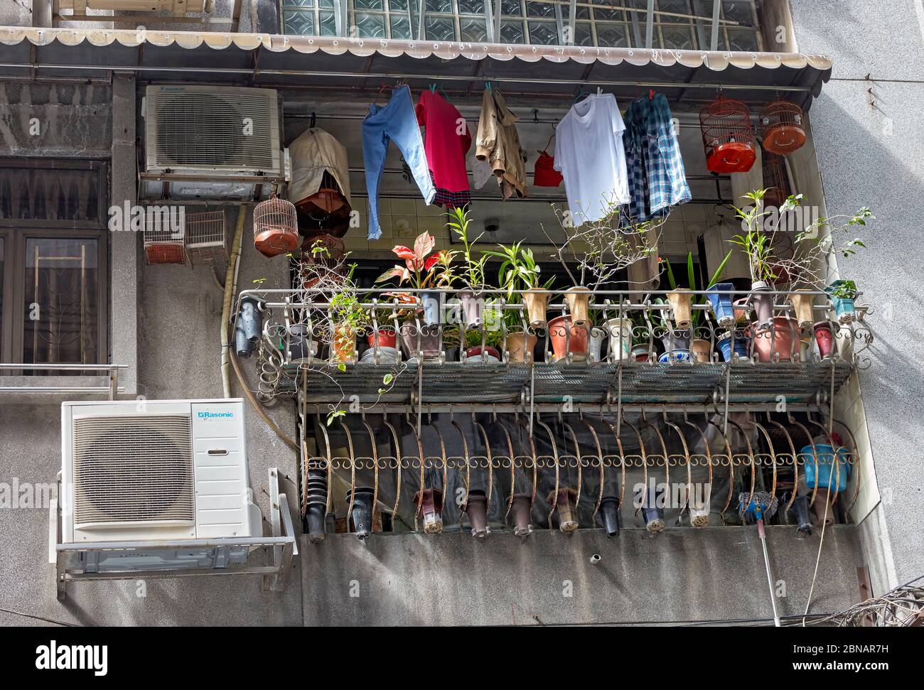 Plants growing building architecture hi-res stock photography and ...