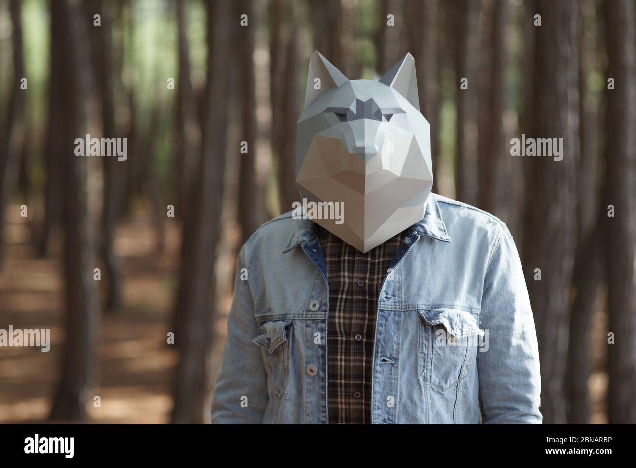 Man with Wolf mask on head Stock Photo - Alamy