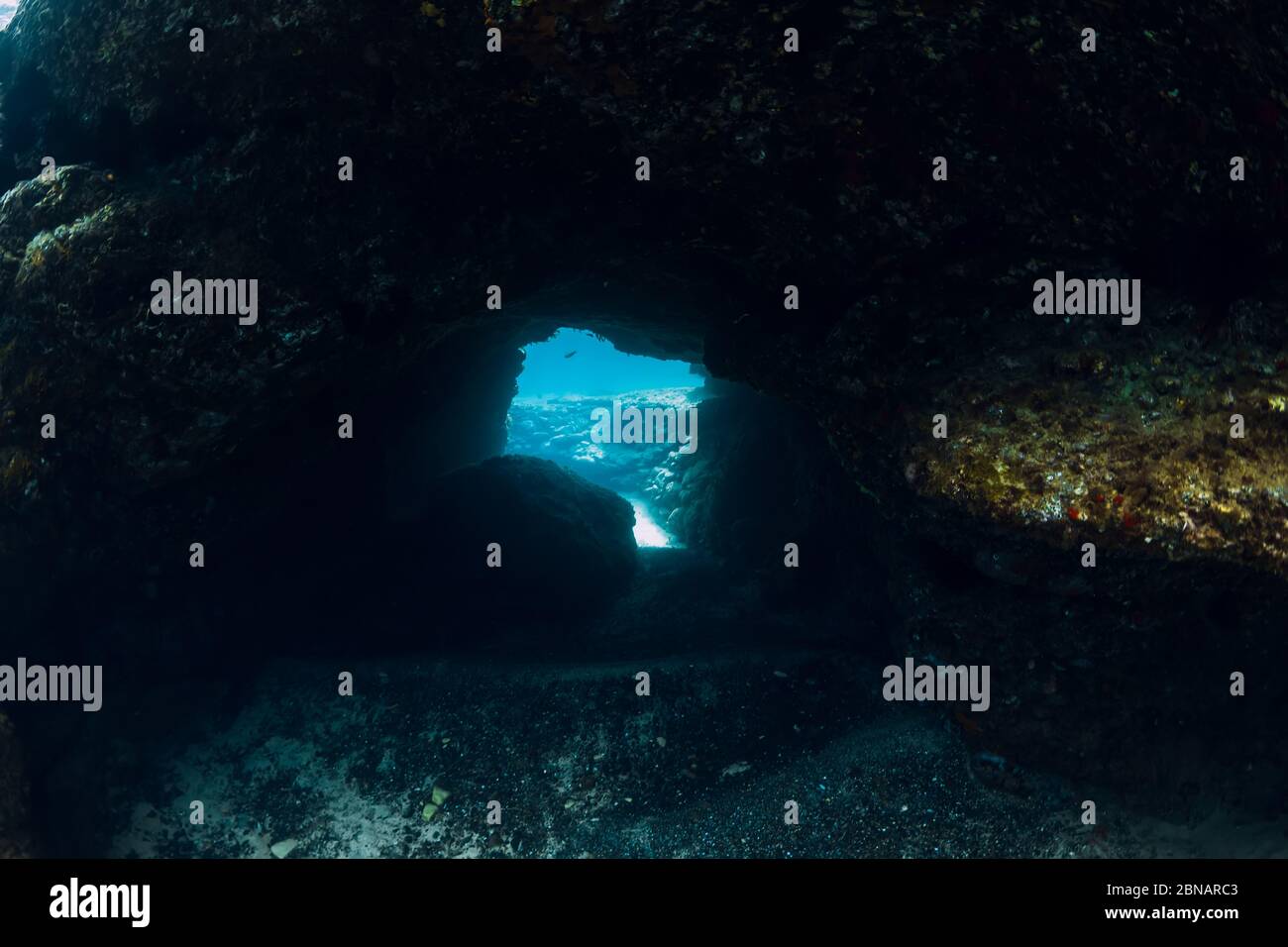 Underwater cave diving hawaii hi-res stock photography and images - Alamy