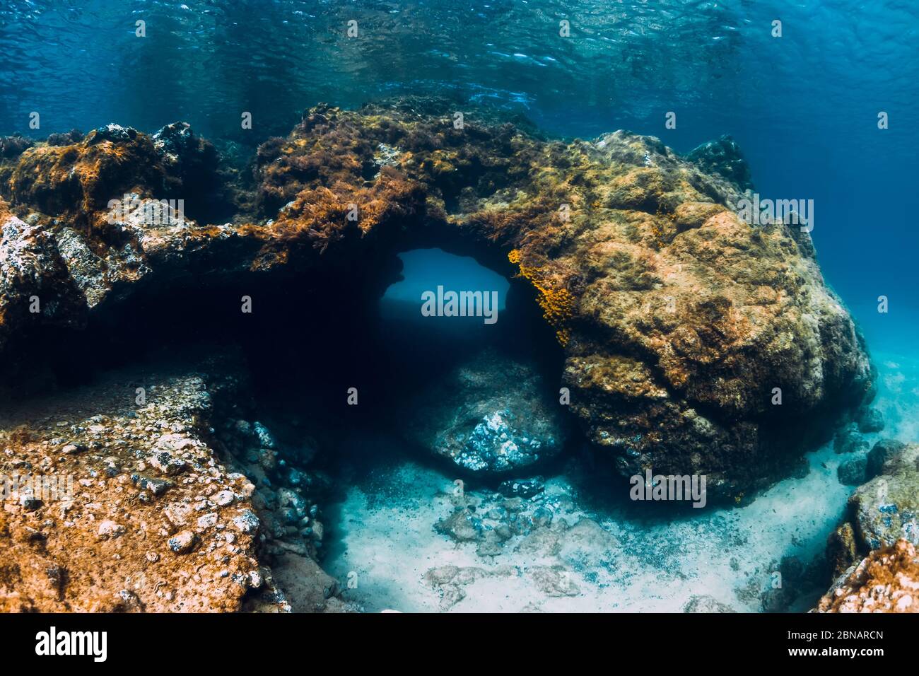 Underwater scene with cave in blue ocean Stock Photo - Alamy