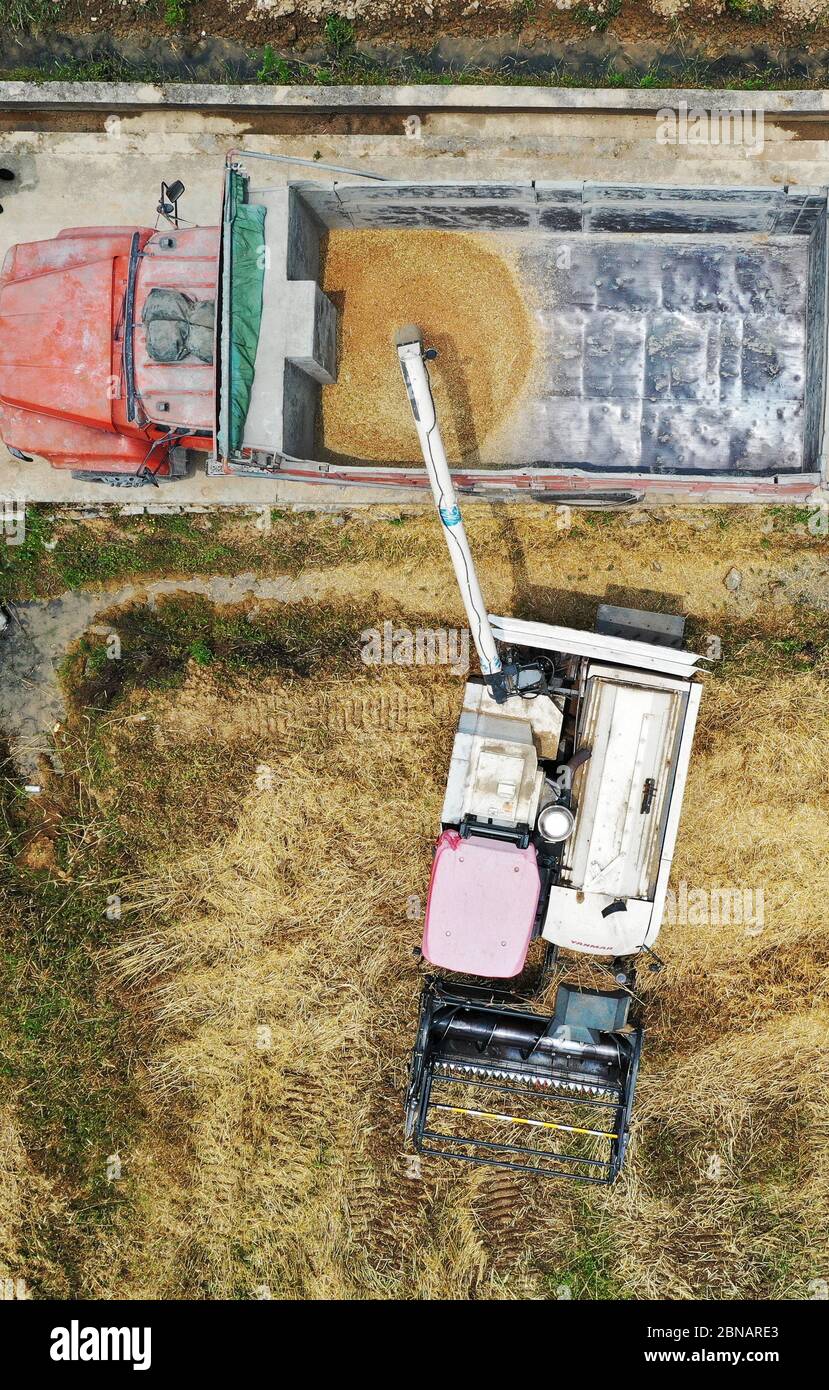 Sinan. 13th May, 2020. Aerial photo taken on May 13, 2020 shows farmers ...