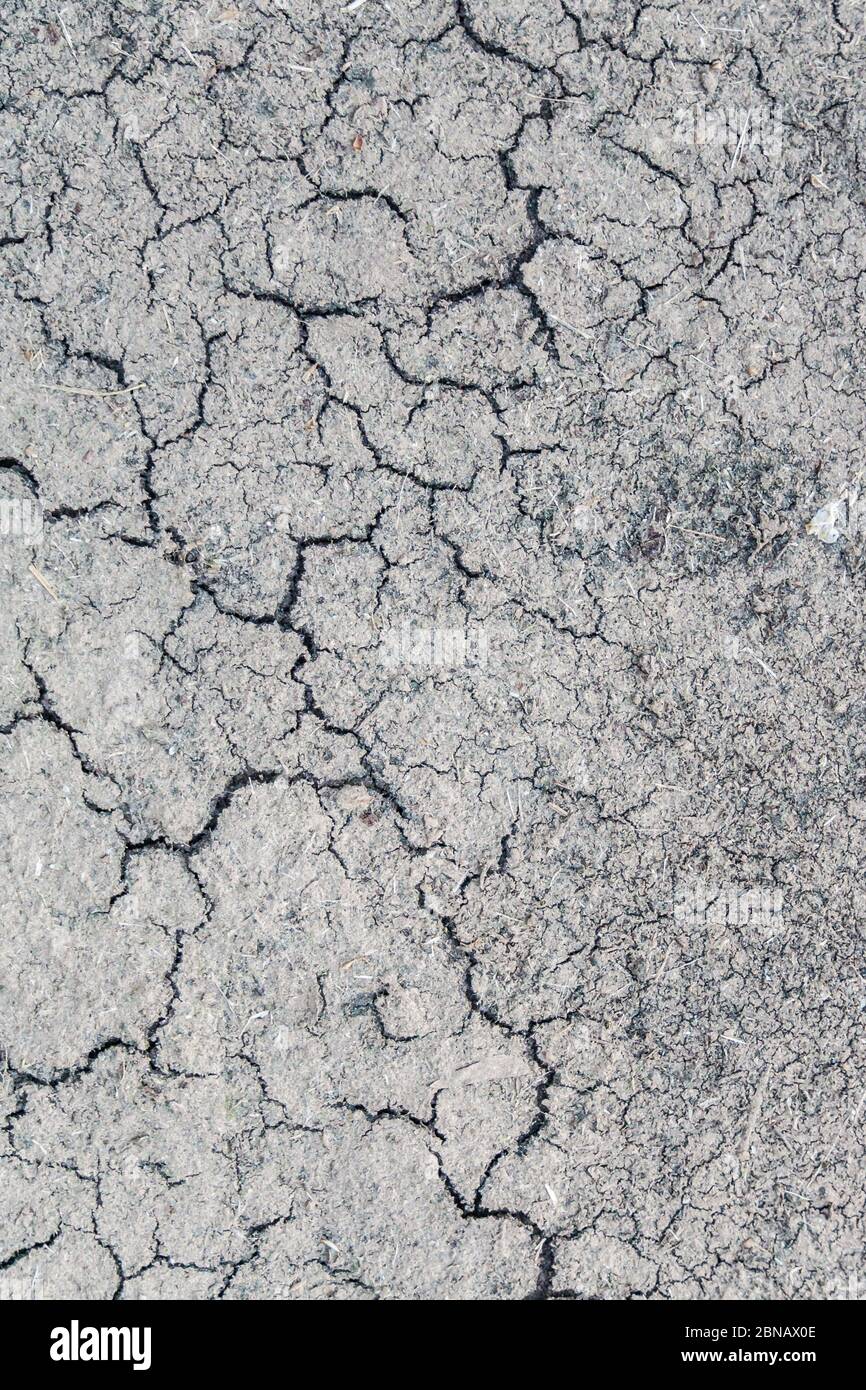 Vertical high angle closeup shot of the cracked grey ground Stock Photo ...