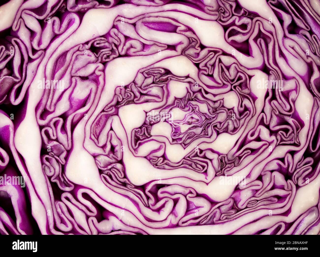 Red cabbage close-up. The texture of the cut cabbage Stock Photo - Alamy