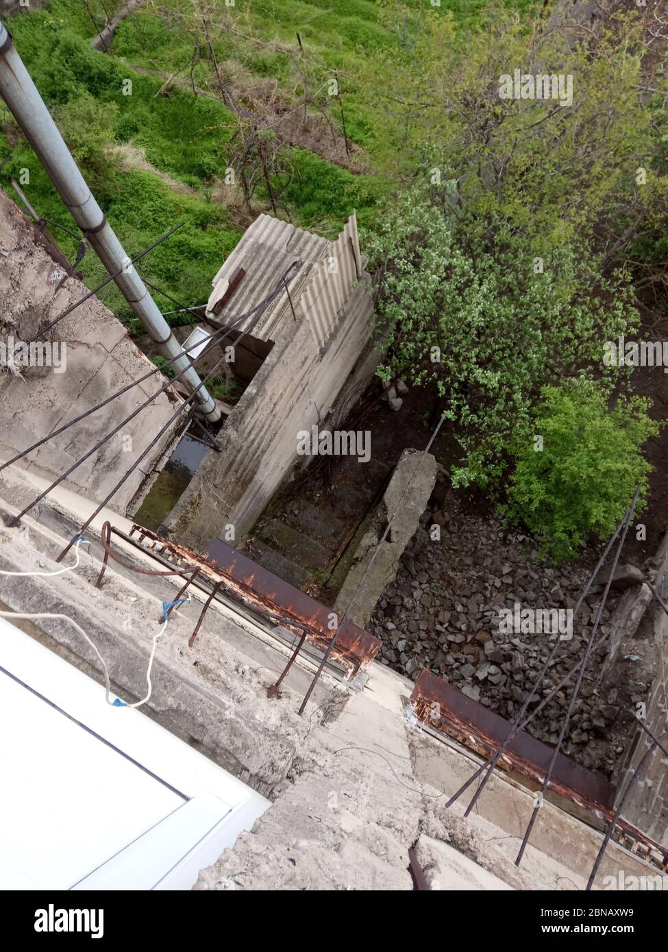 Vertical high angle shot of a garden covered with grass and plants in ...