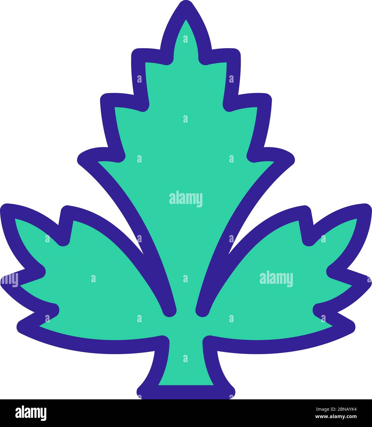 cilantro leaflet icon vector outline illustration Stock Vector Image ...
