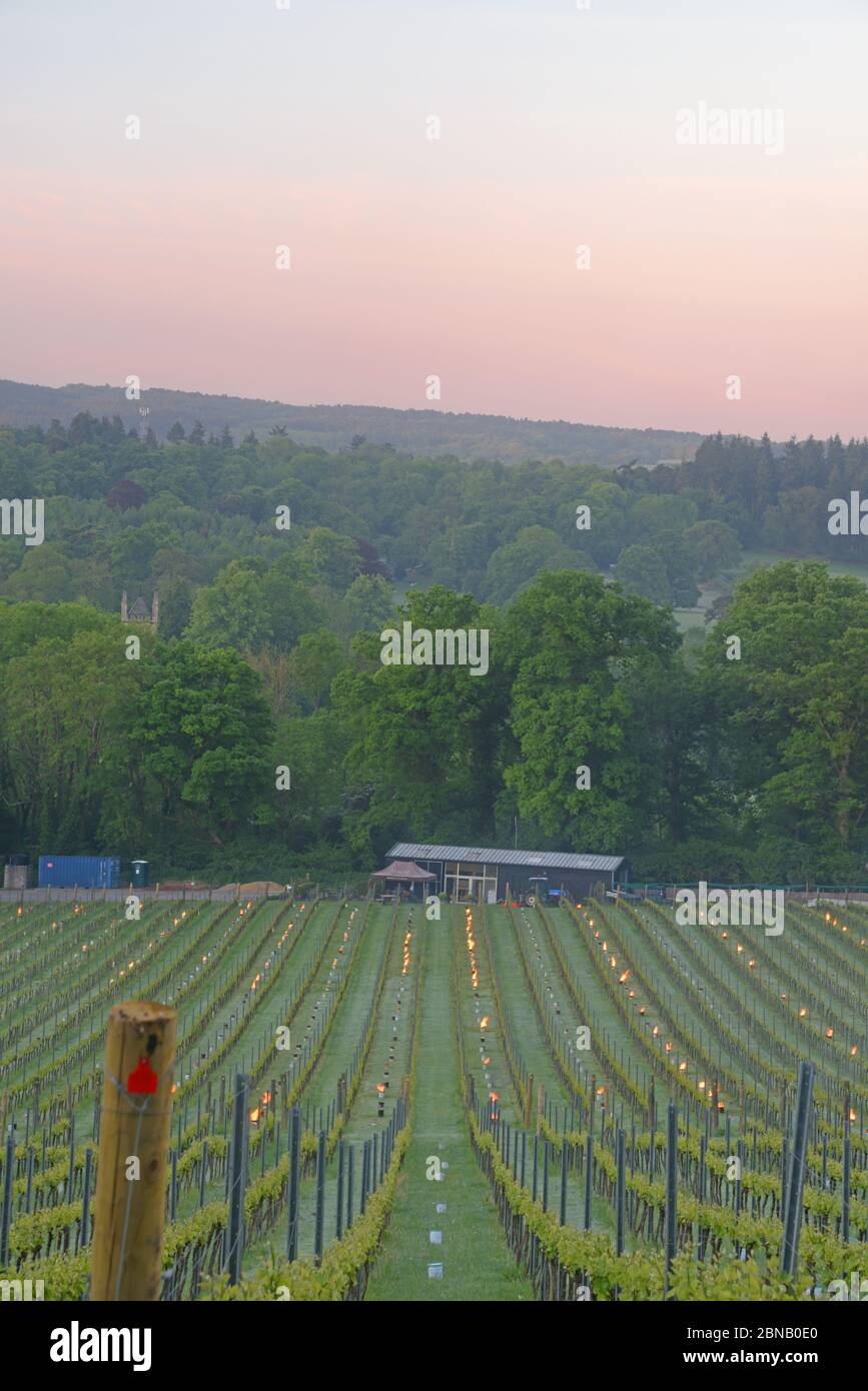Rose Wines Vineyard High Resolution Stock Photography and Images - Alamy