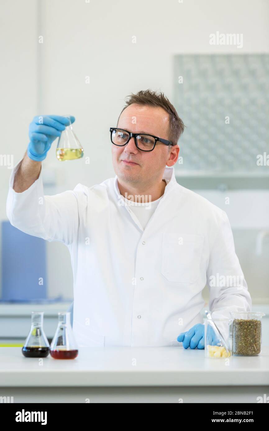 Male chemical scientist wearing glasses works with hemp CBD and CBDa ...
