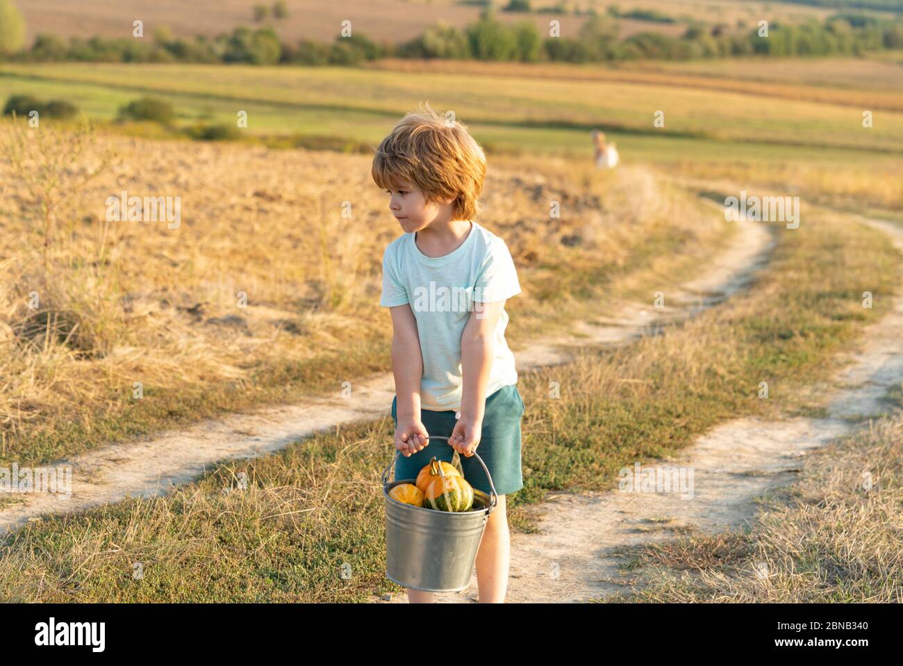 Cute toddler boy working on farm outdoors. Child farmer in the farm ...