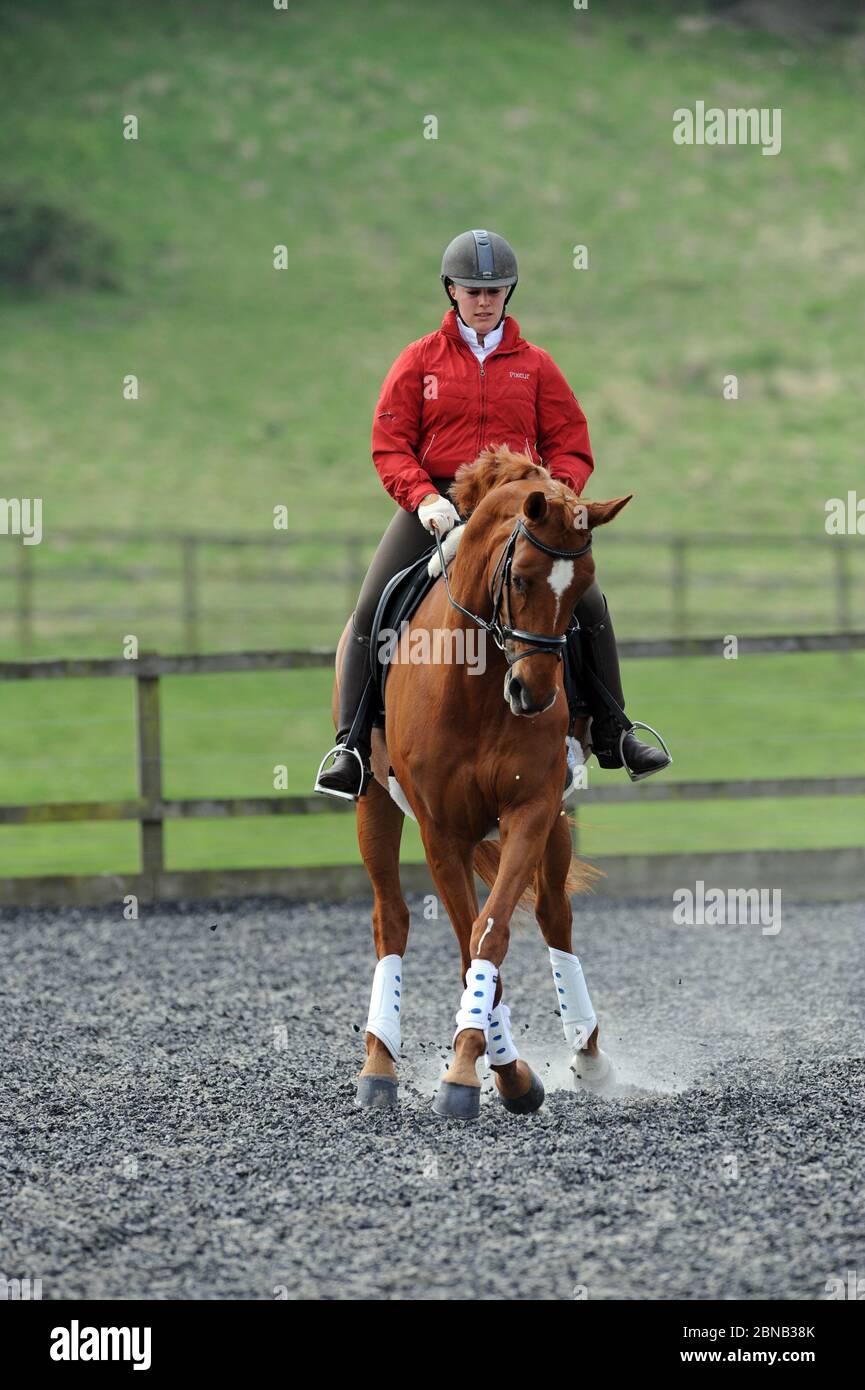 Equestrian schools hi-res stock photography and images - Alamy