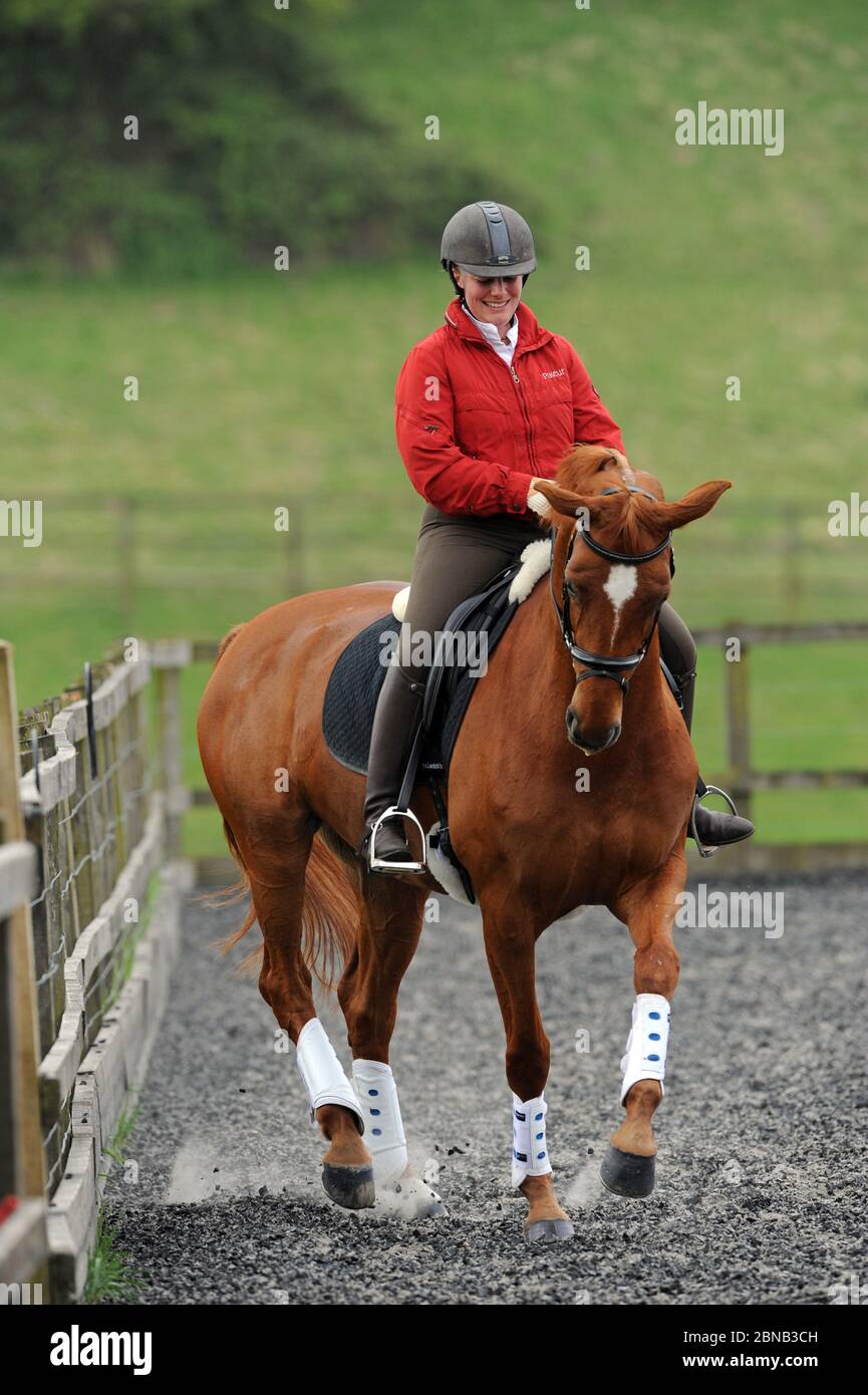 A Woman schools her horse in a riding school Stock Photo - Alamy