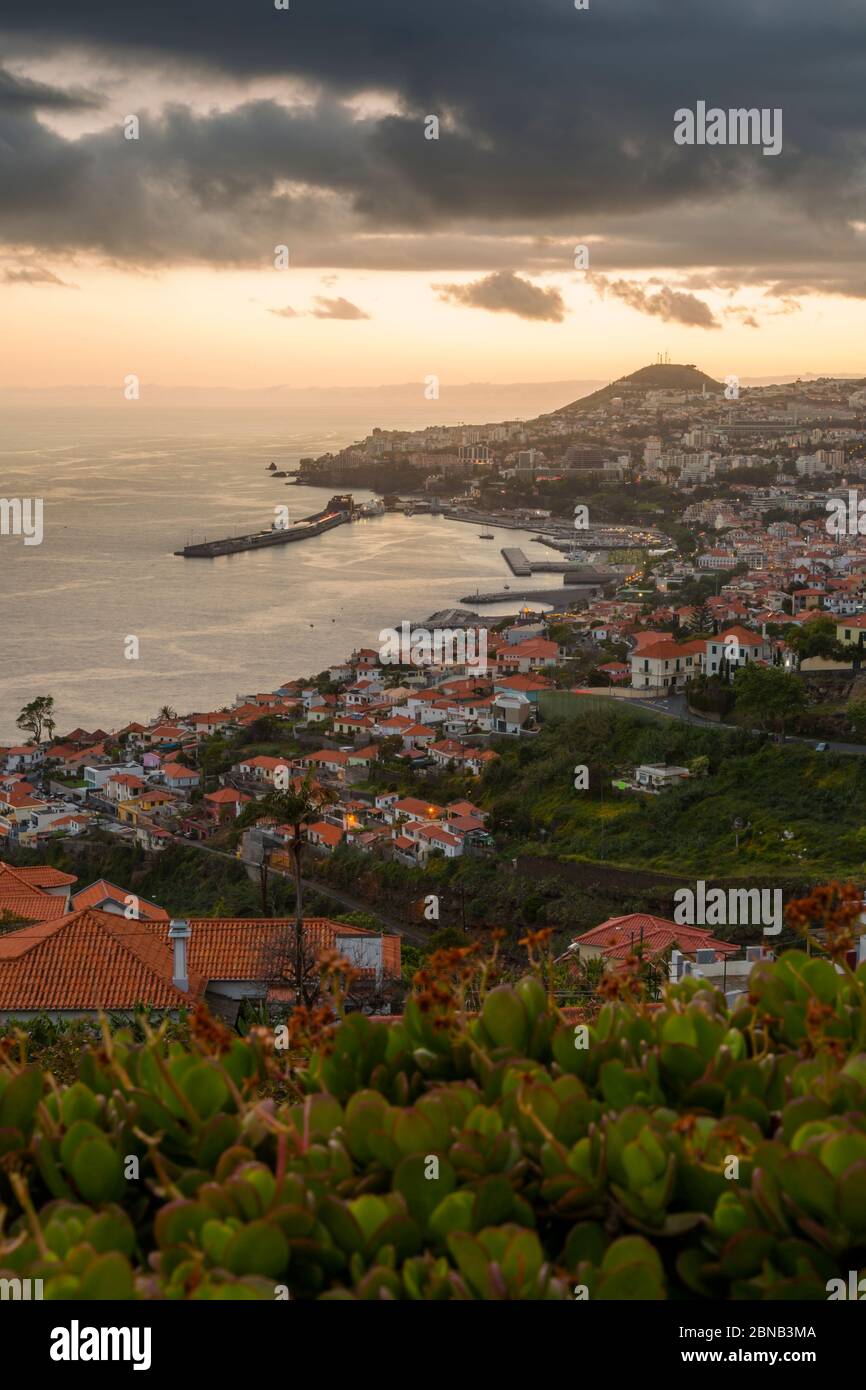 View of Funchal harbour and town from elevated position at sunset ...