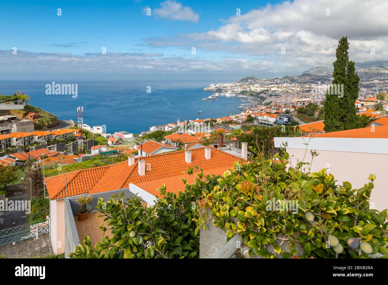 View overlooking Funchal harbour and town, Funchal, Madeira, Portugal ...