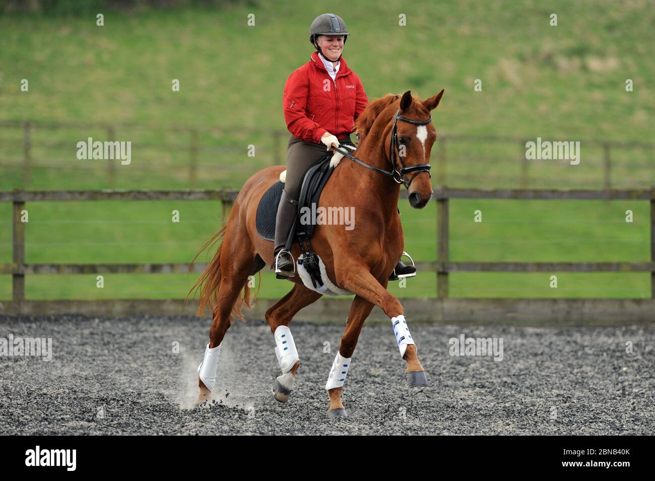 Dressage schools hi-res stock photography and images - Alamy