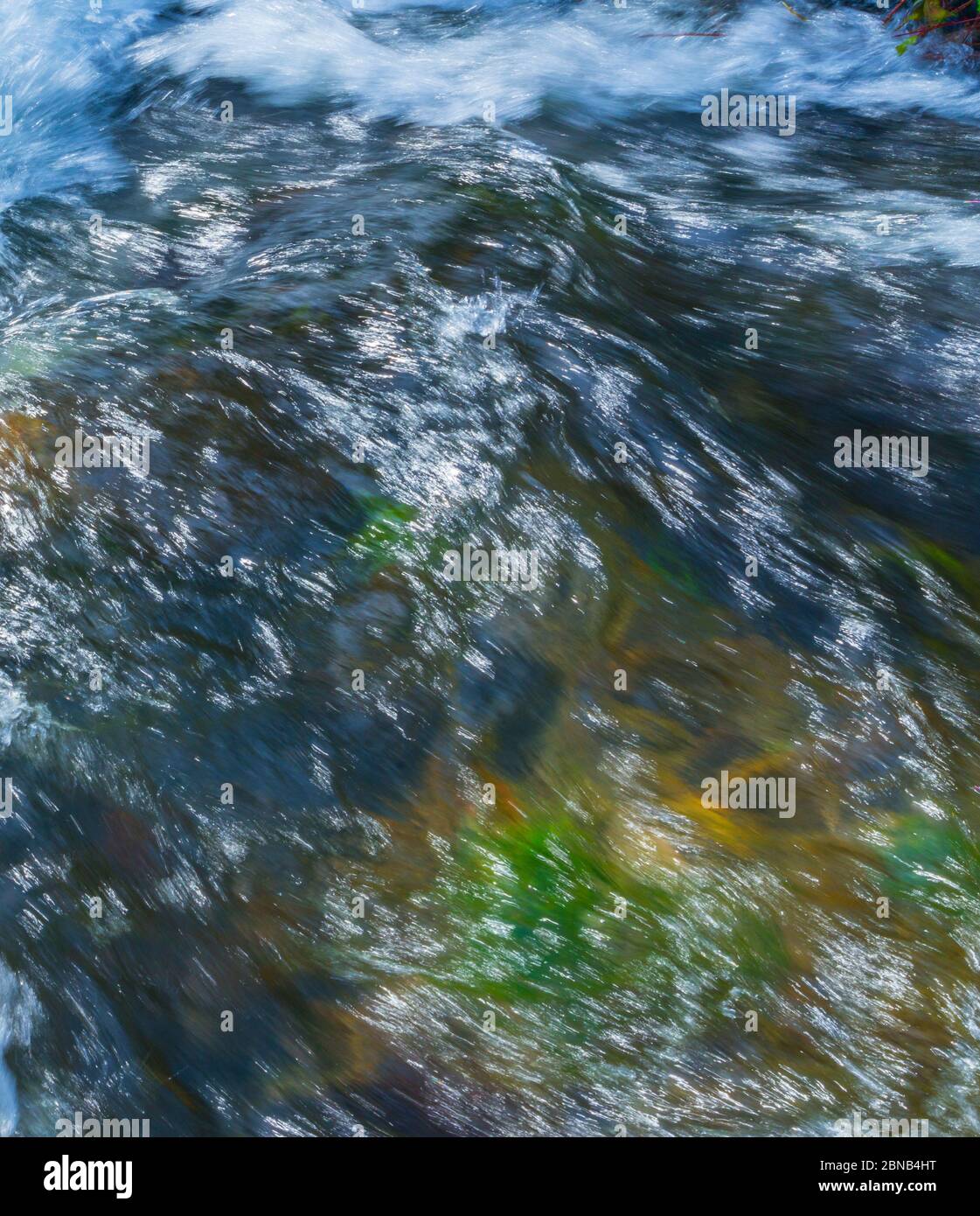 Watery environment hi-res stock photography and images - Alamy