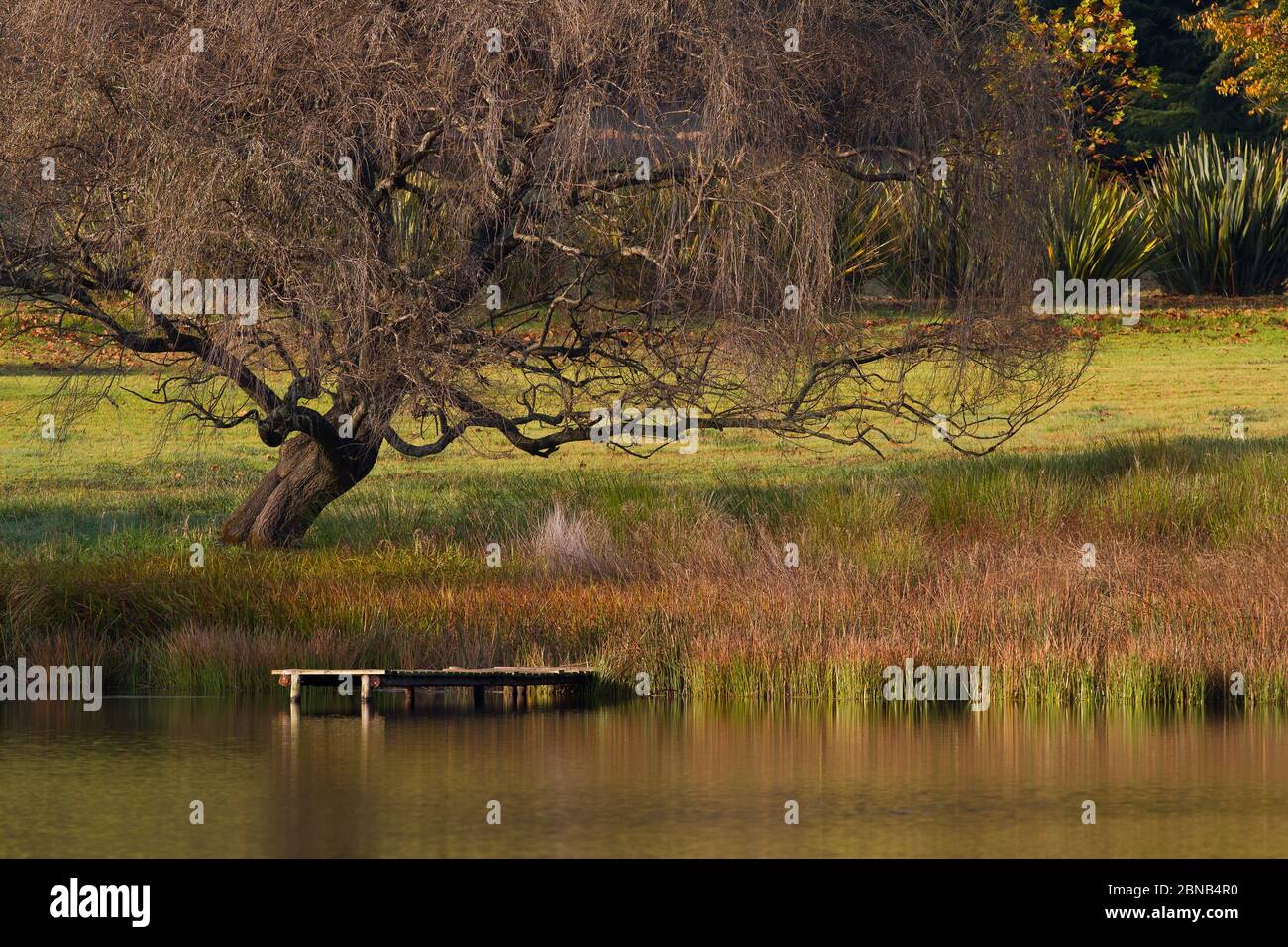 autumn scene Dullstroom, South Africa Stock Photo - Alamy