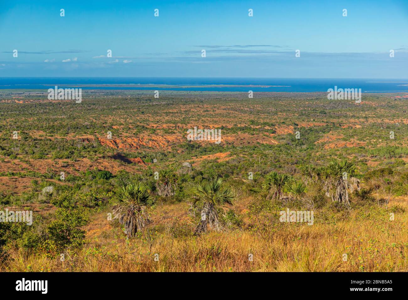 The red Tsingy of Antsiranana, Madagascar Stock Photo - Alamy