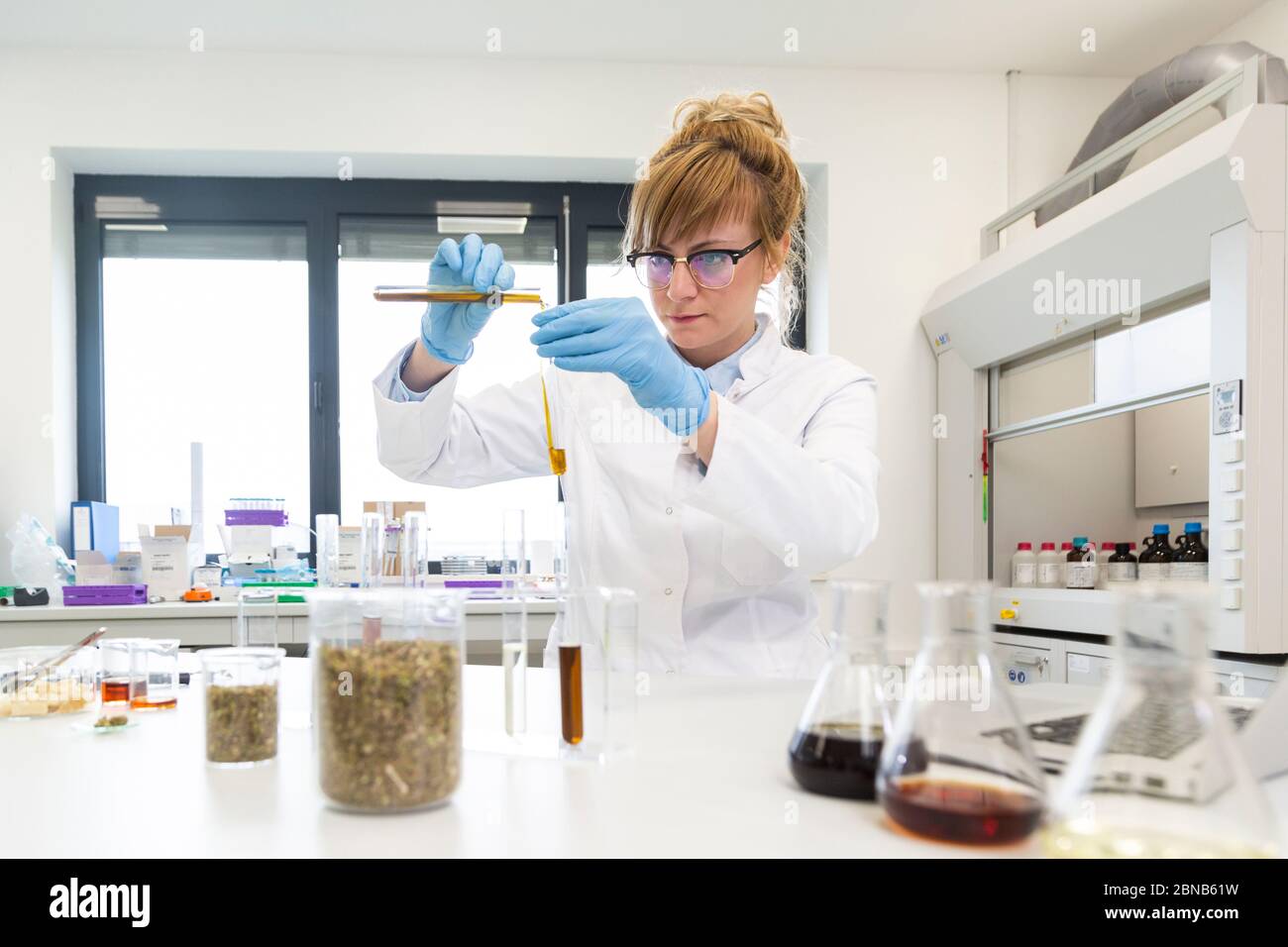 Female chemical scientist wearing glasses works with hemp CBD and CBDa ...