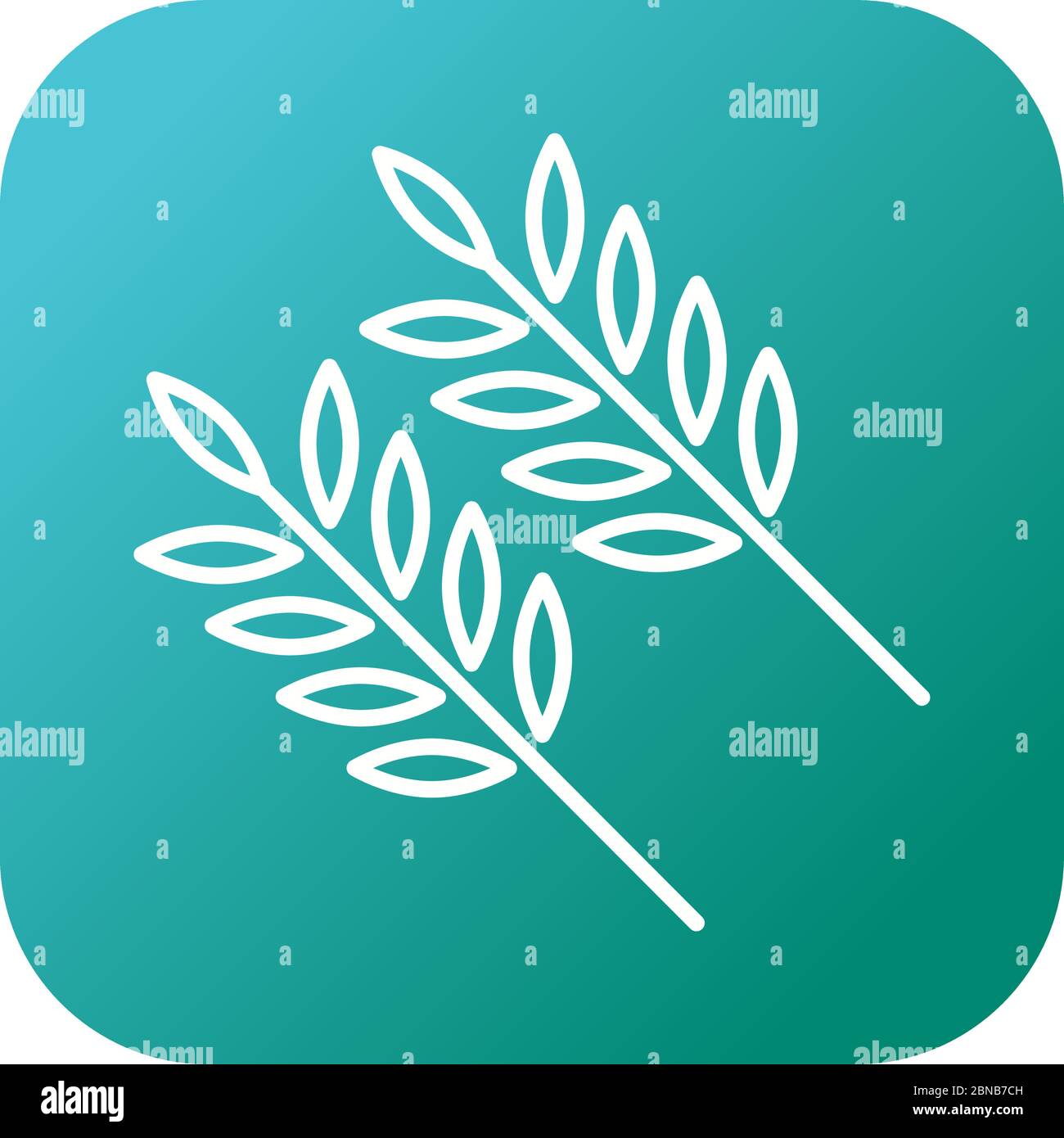Beautiful Wheat Line Vector Icon Stock Vector Image & Art - Alamy
