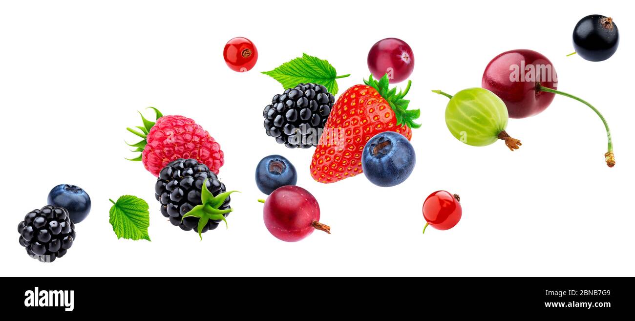 Falling berries collection isolated on white background Stock Photo - Alamy