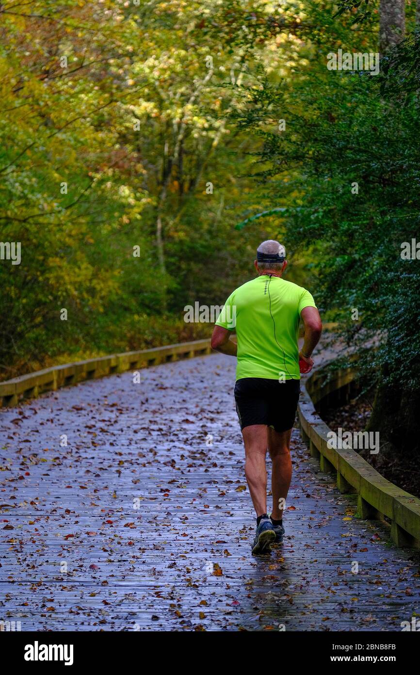 Older wet hi-res stock photography and images - Alamy