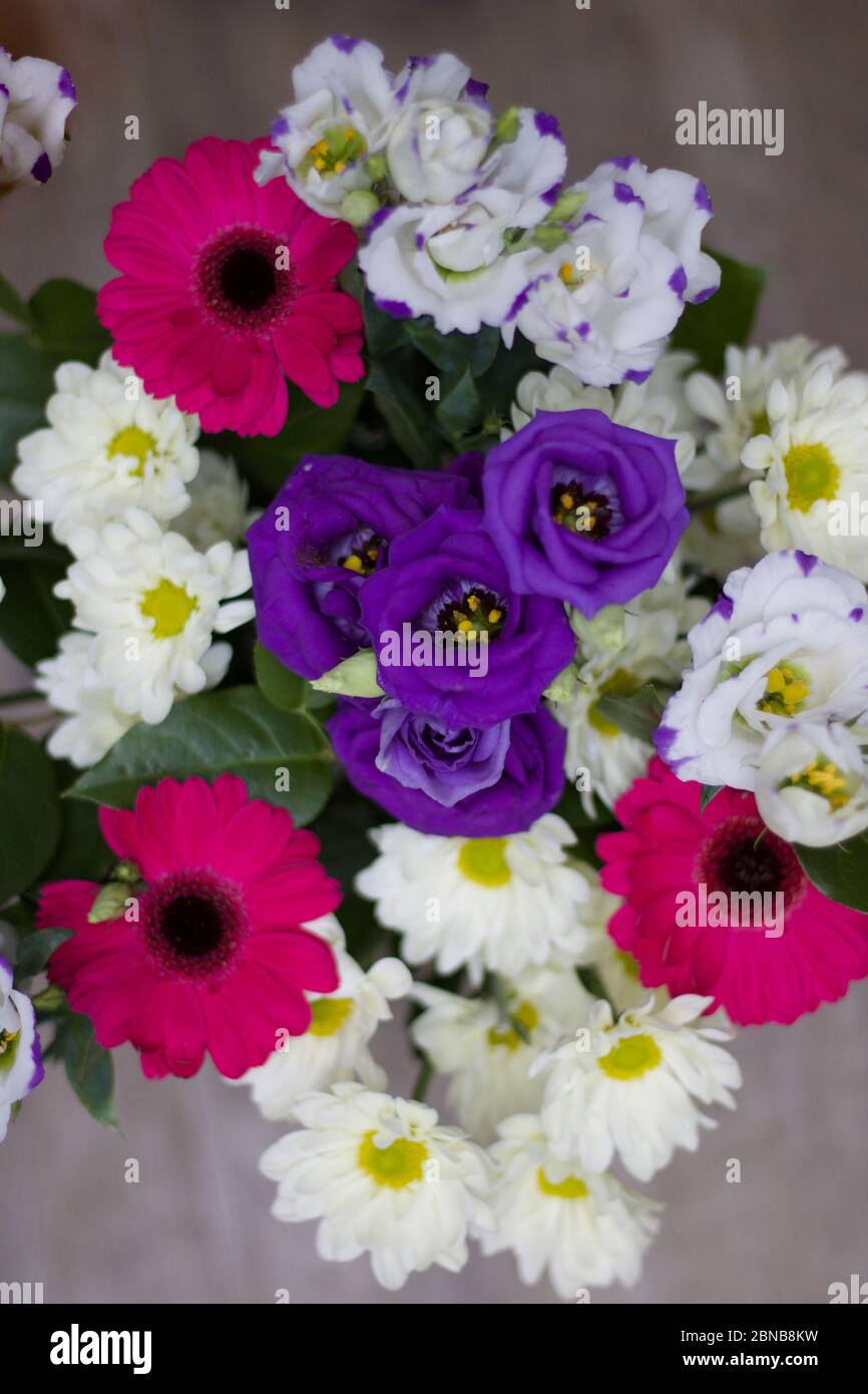 Selection of spring flowers in assorted colours of pink purple and ...
