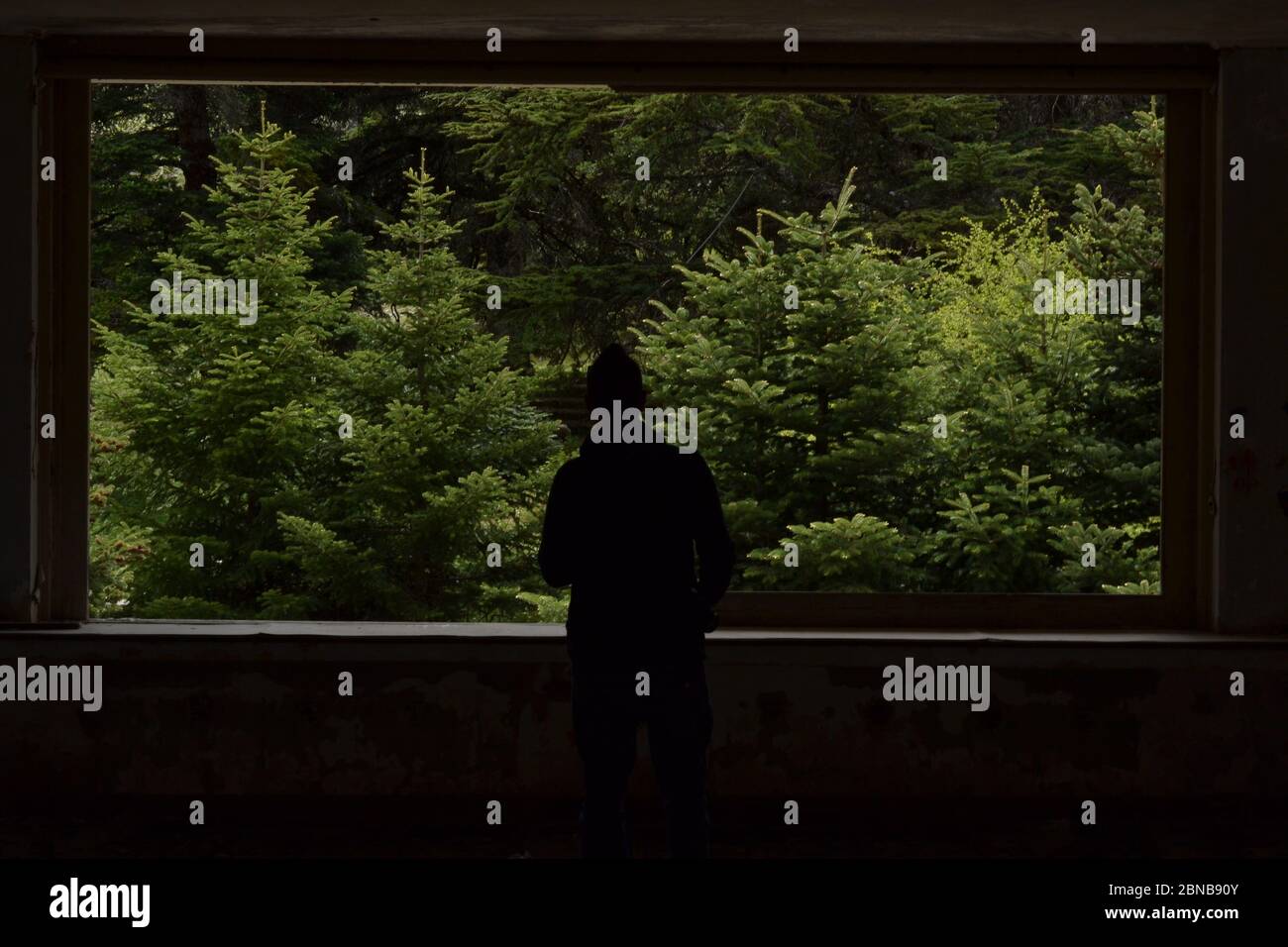 Person standing in front of a big window with the view to the green ...